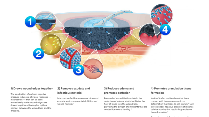 3M Bioskills Hands-on Lab: Shaping the Future of Healthcare Education ...