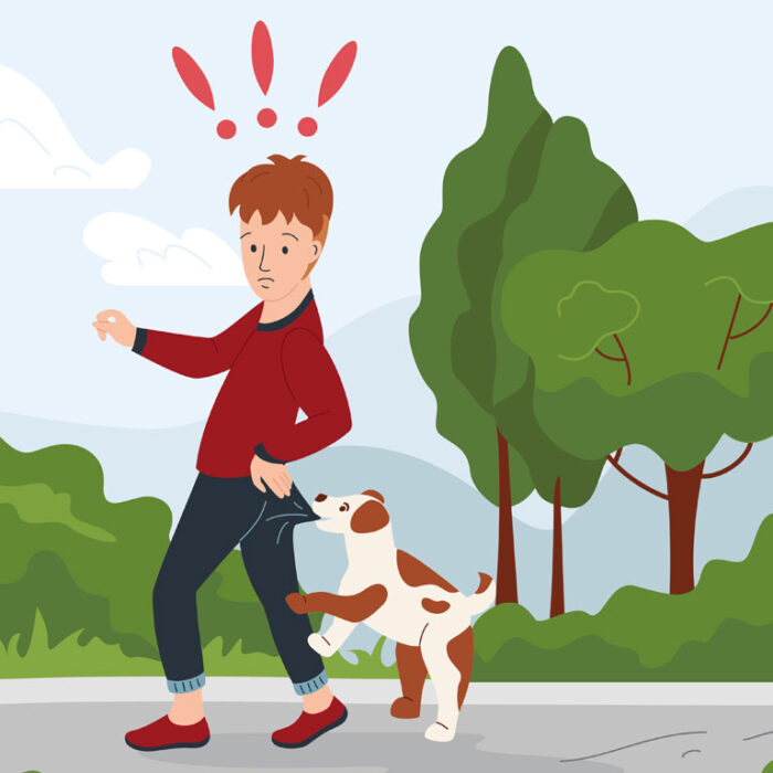 How To Treat Animal Bites: Wound Care and Infection Prevention